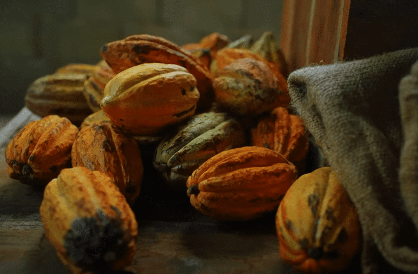 1919 Chocolate - Philippine Craft Chocolate